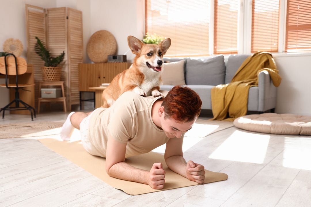 Doga : cette nouvelle activité bien-être à tester avec votre chien